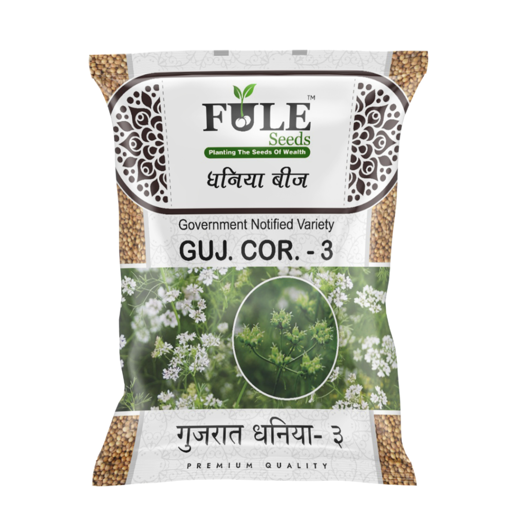 Coriander – Fule Seeds