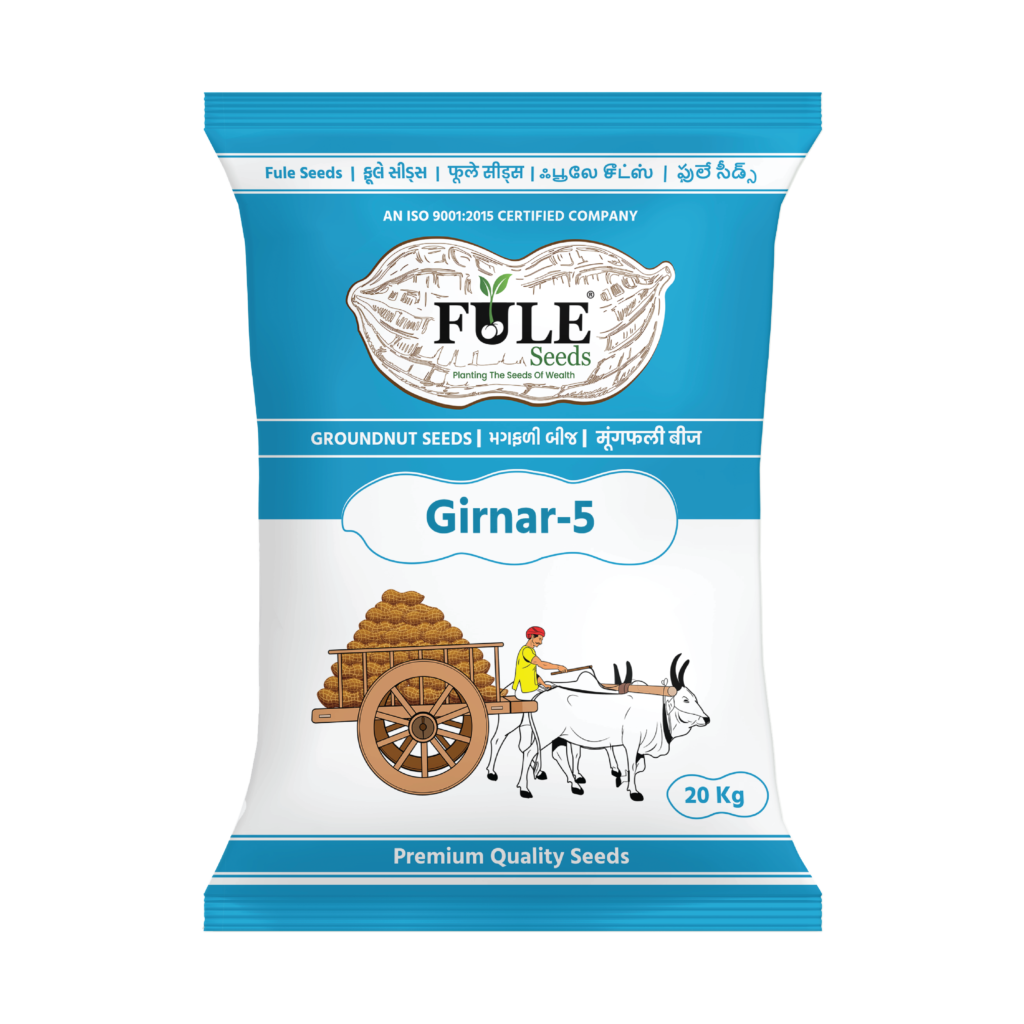 Girnar 5 (ICGV 15090) – Fule Seeds